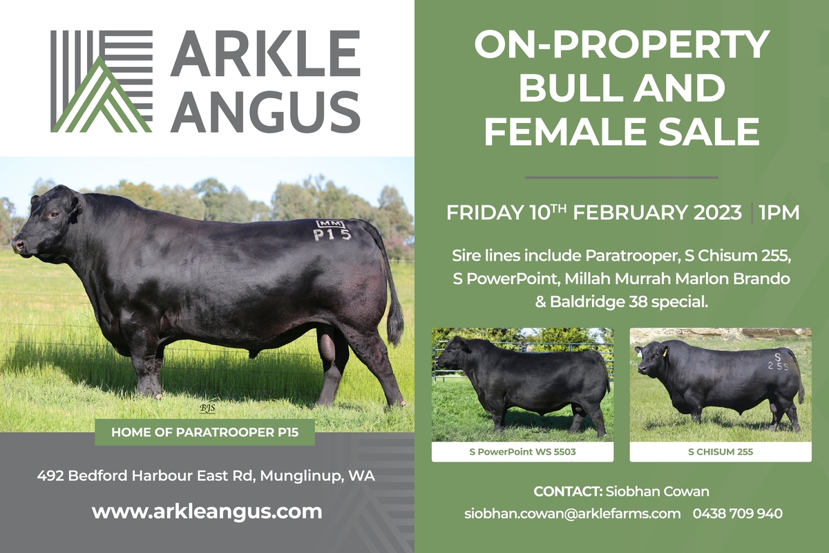2023 Sale Information | Arkle Angus